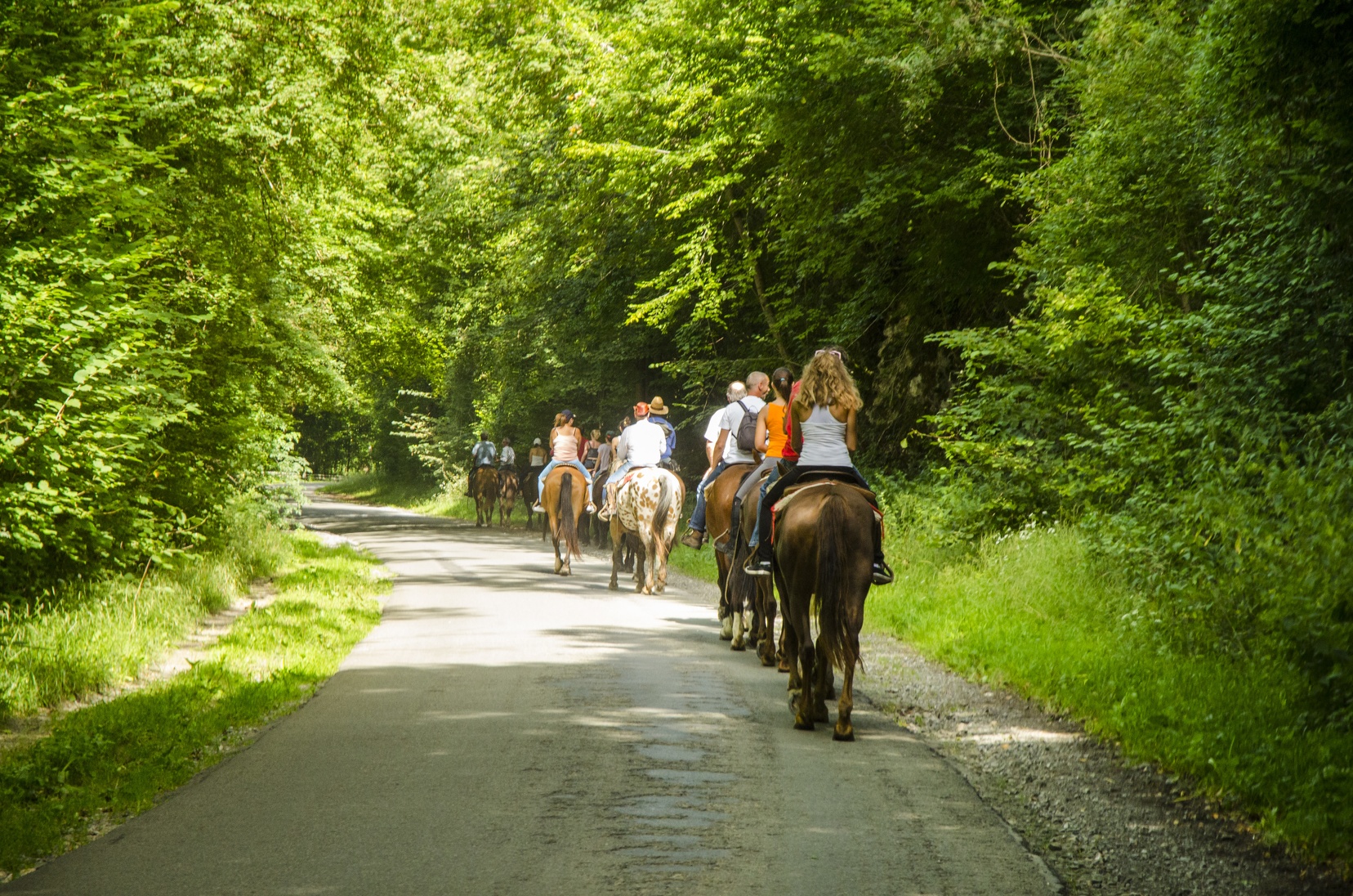 Les balades à cheval - ADT des Ardennes
