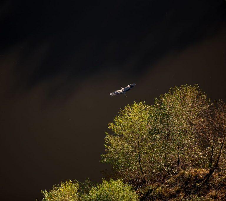 Parc naturel régional des Ardennes - ADT des Ardennes